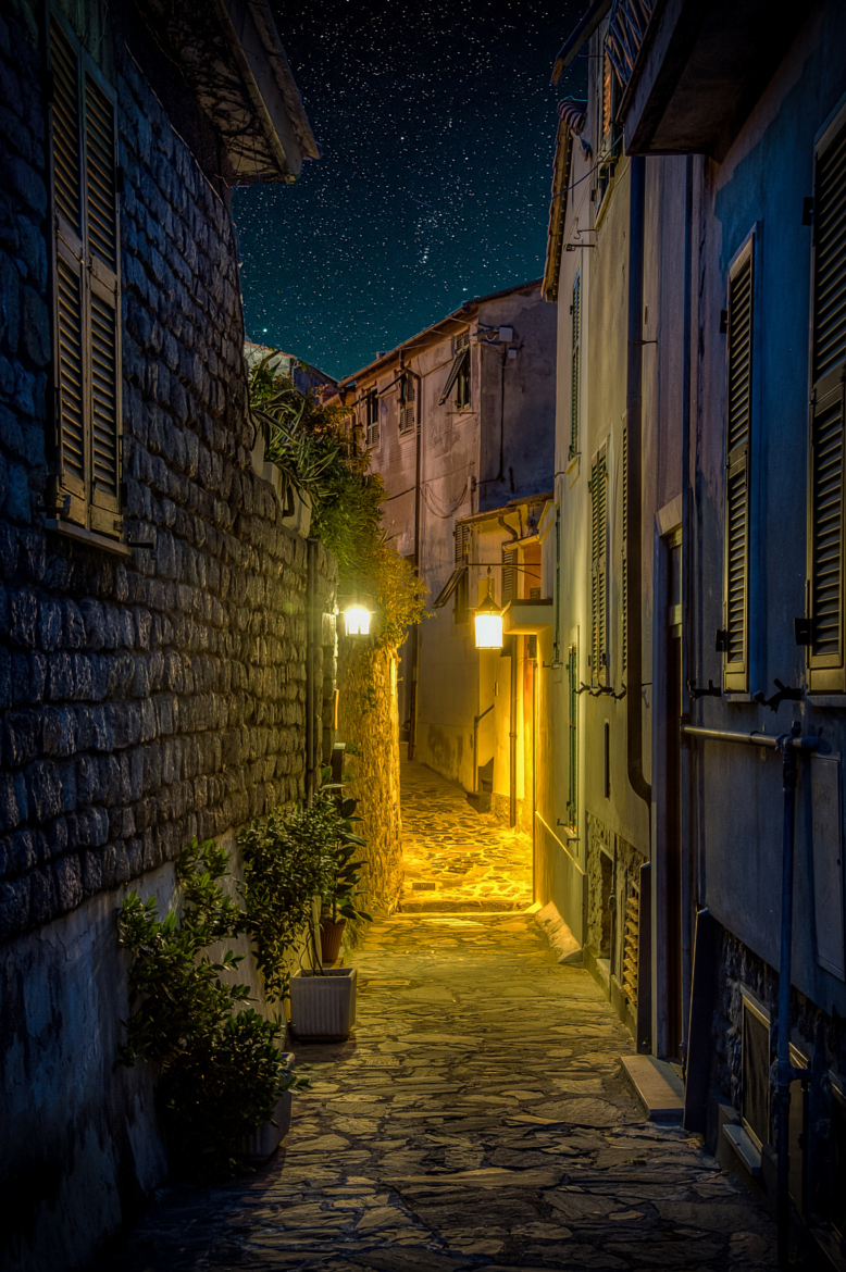 Download Beautiful Nature Phone Backgrounds