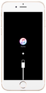 Resetting an iPhone/iPad, Force Restart, Stopped Booting