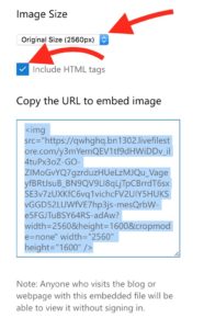 Embed PDF, Word, Videos & Photos from OneDrive